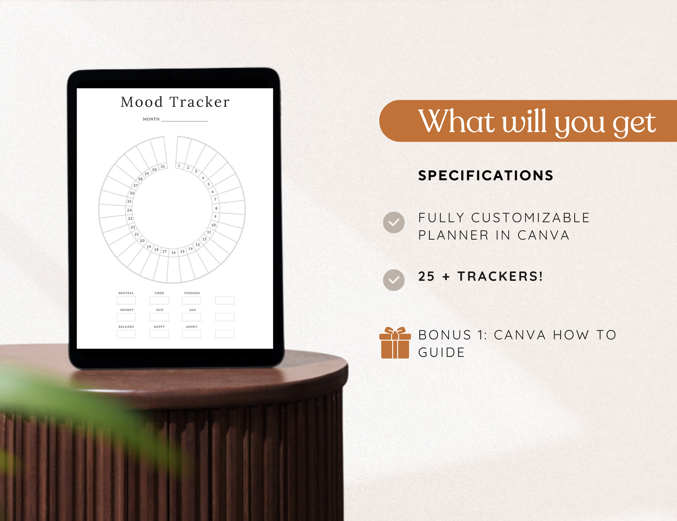 Mega Bundle of Trackers – Virtually Done Studio PLR