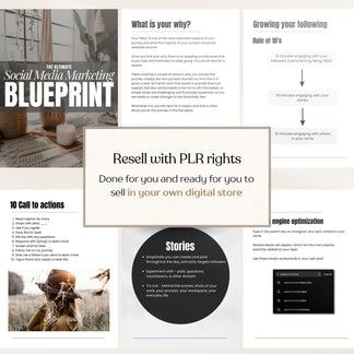 The Ultimate Digital Business Success 10 Guide Bundle – Virtually Done Studio PLR