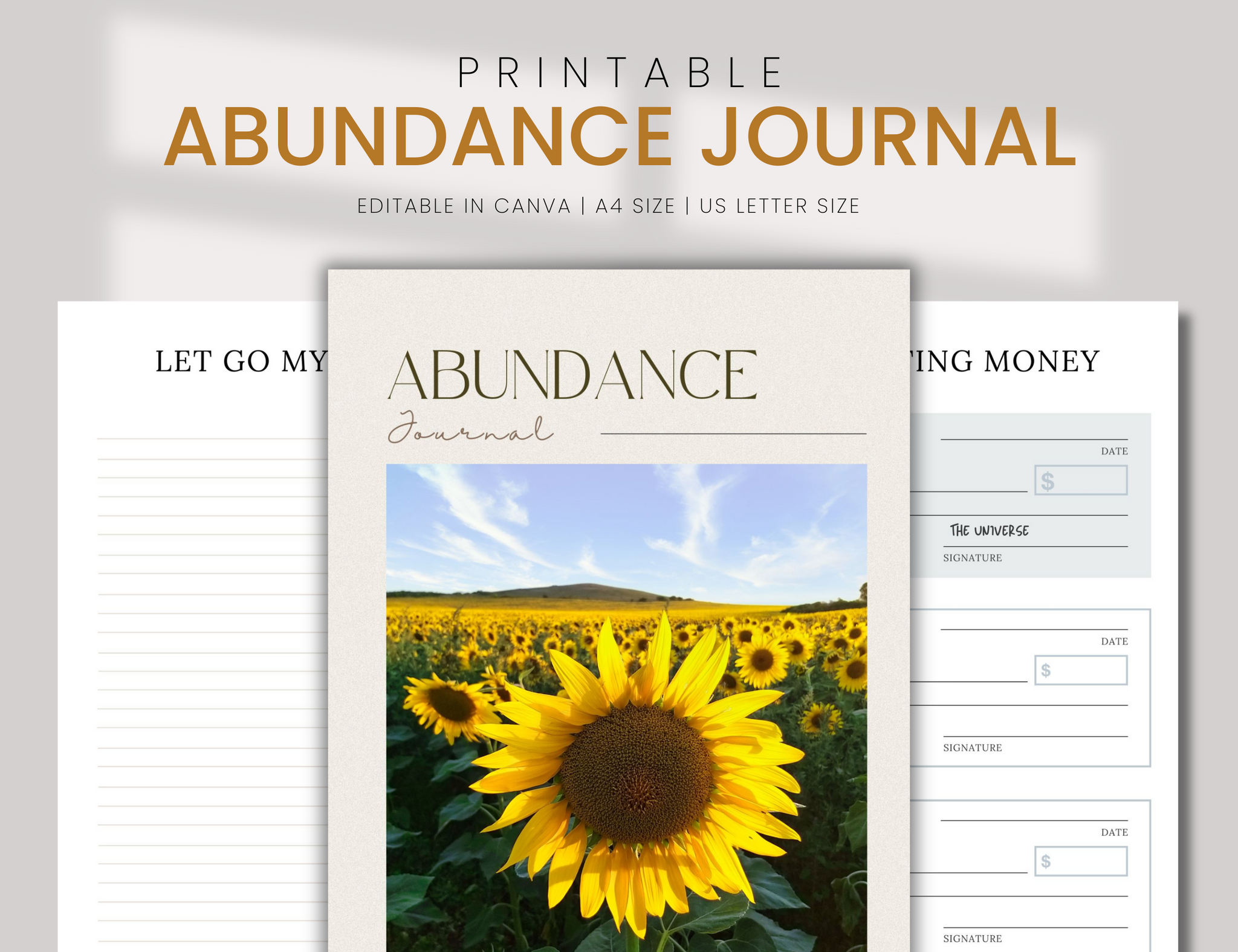PLR Abundance Journal – Virtually Done Studio PLR